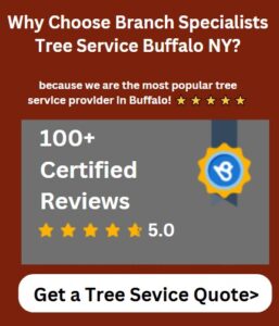 Branch Specialists Tree Service, Tree Removal, Cutting Services Buffalo NY