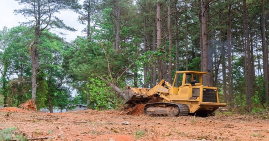 Professional Land Clearing and Brush Clearing Services in Buffalo, NY - Branch Specialists